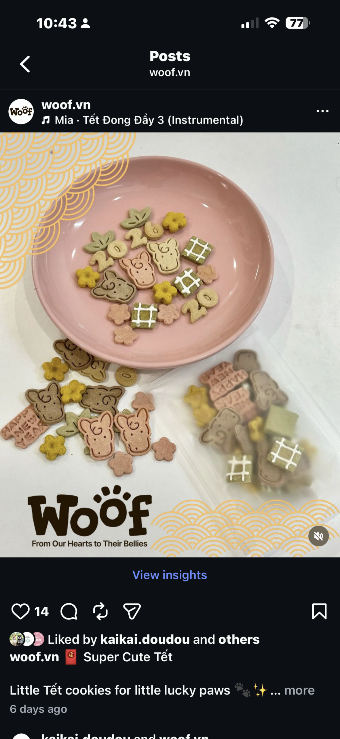 Cookie Tết – Woof