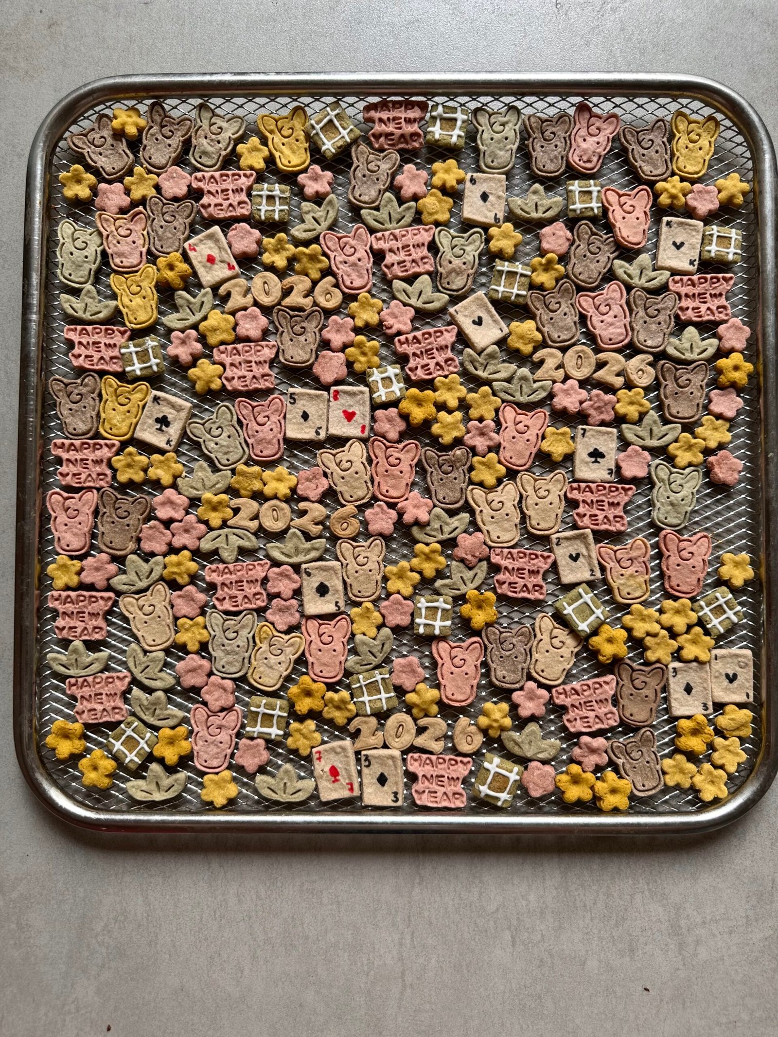 Cookie Tết – Woof